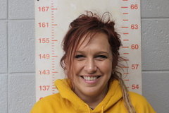 Inmate Roster - Released Inmates Booking Date Descending - Polk County ...